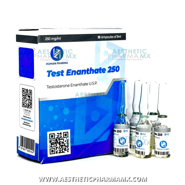 Human Pharma Testosterona Enantato 250 – Aesthetic Pharma México